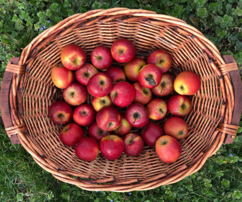 LA FERME DES POSSIBLES | La Résidence Sociale